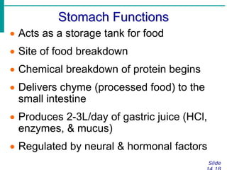 Digestion.ppt