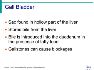 Digestion.ppt