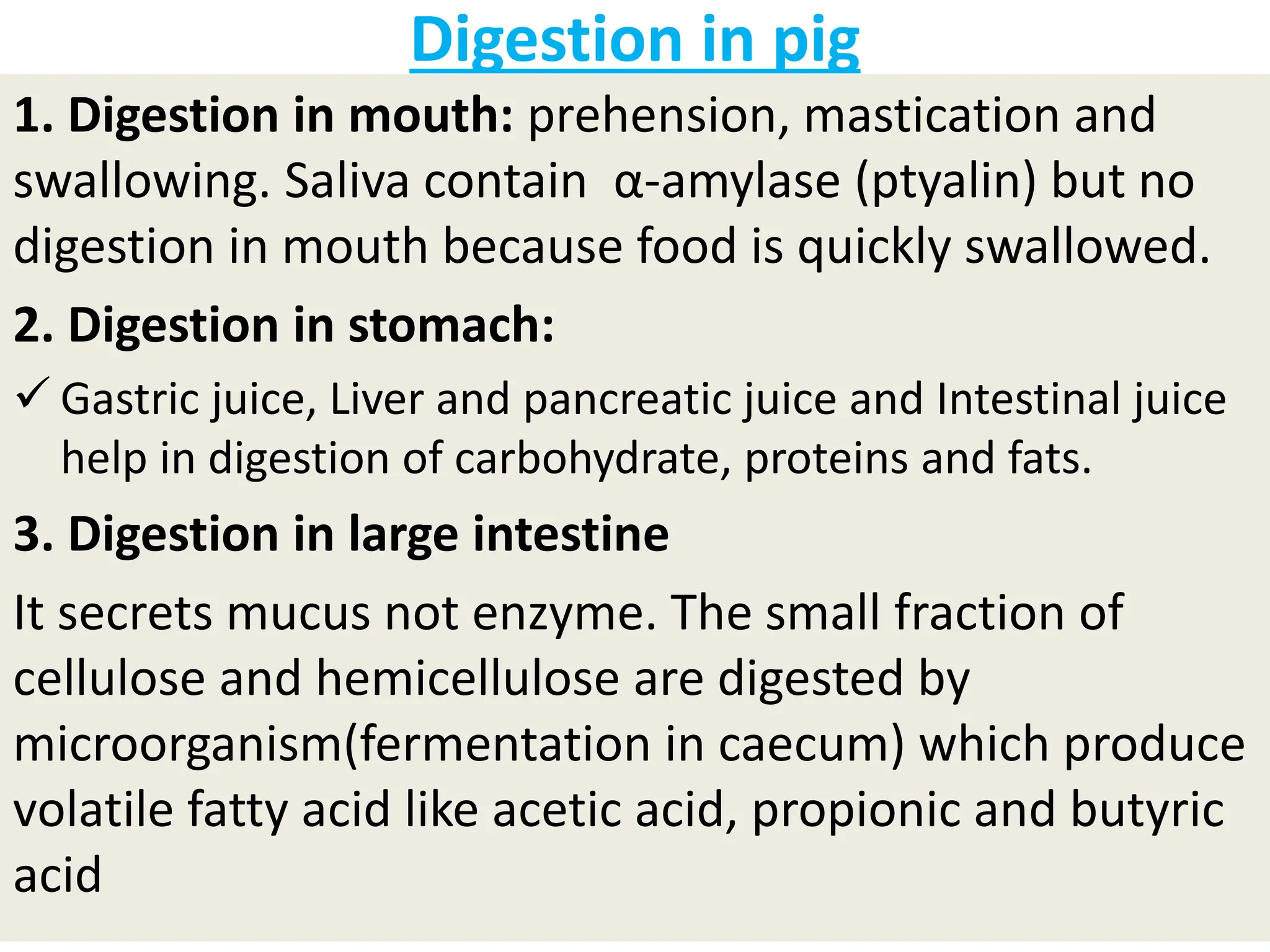 Digestion and Absorption in Ruminant and Non-ruminant.pptx