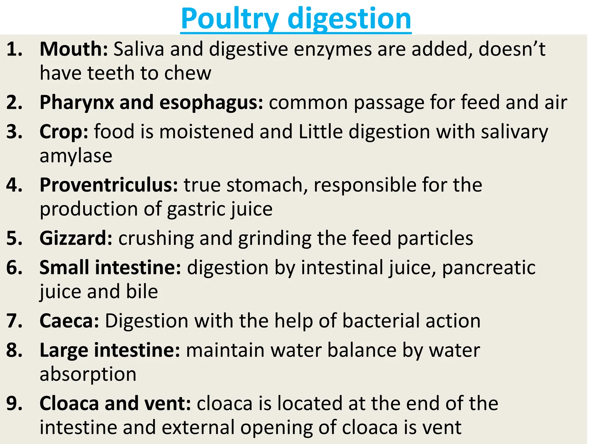 Digestion and Absorption in Ruminant and Non-ruminant.pptx