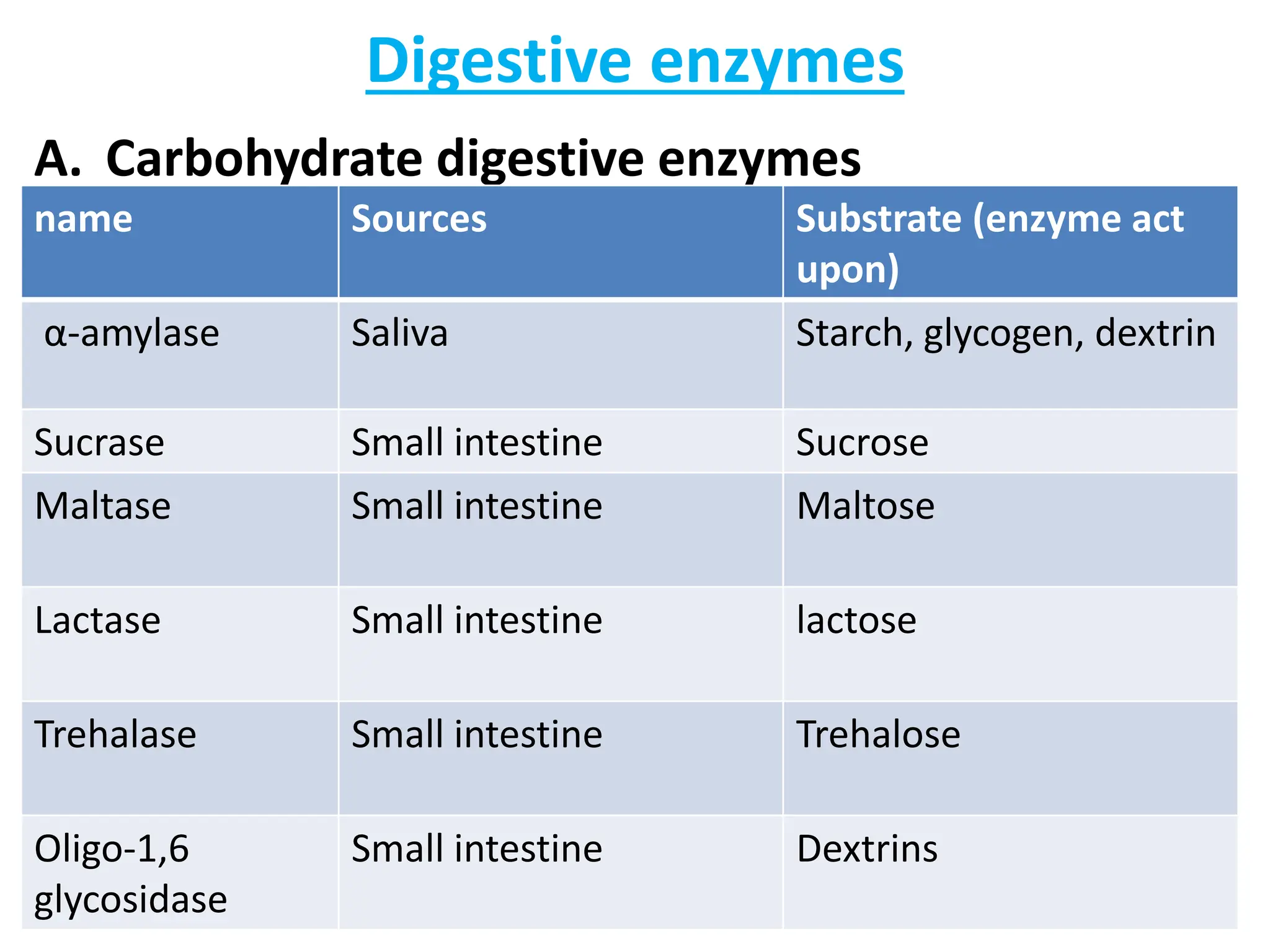 Digestion and Absorption in Ruminant and Non-ruminant.pptx