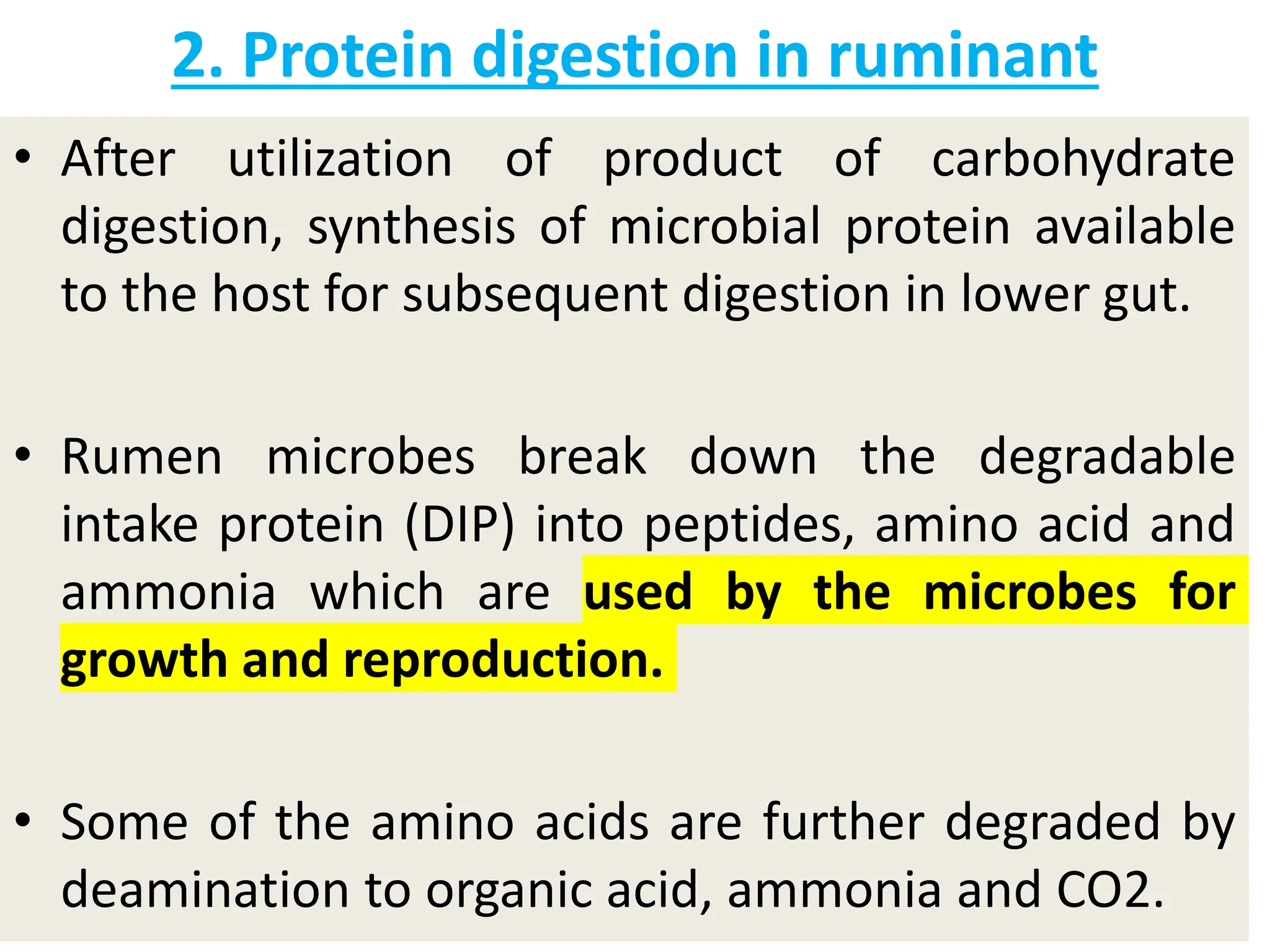 Digestion and Absorption in Ruminant and Non-ruminant.pptx | Digestive ...
