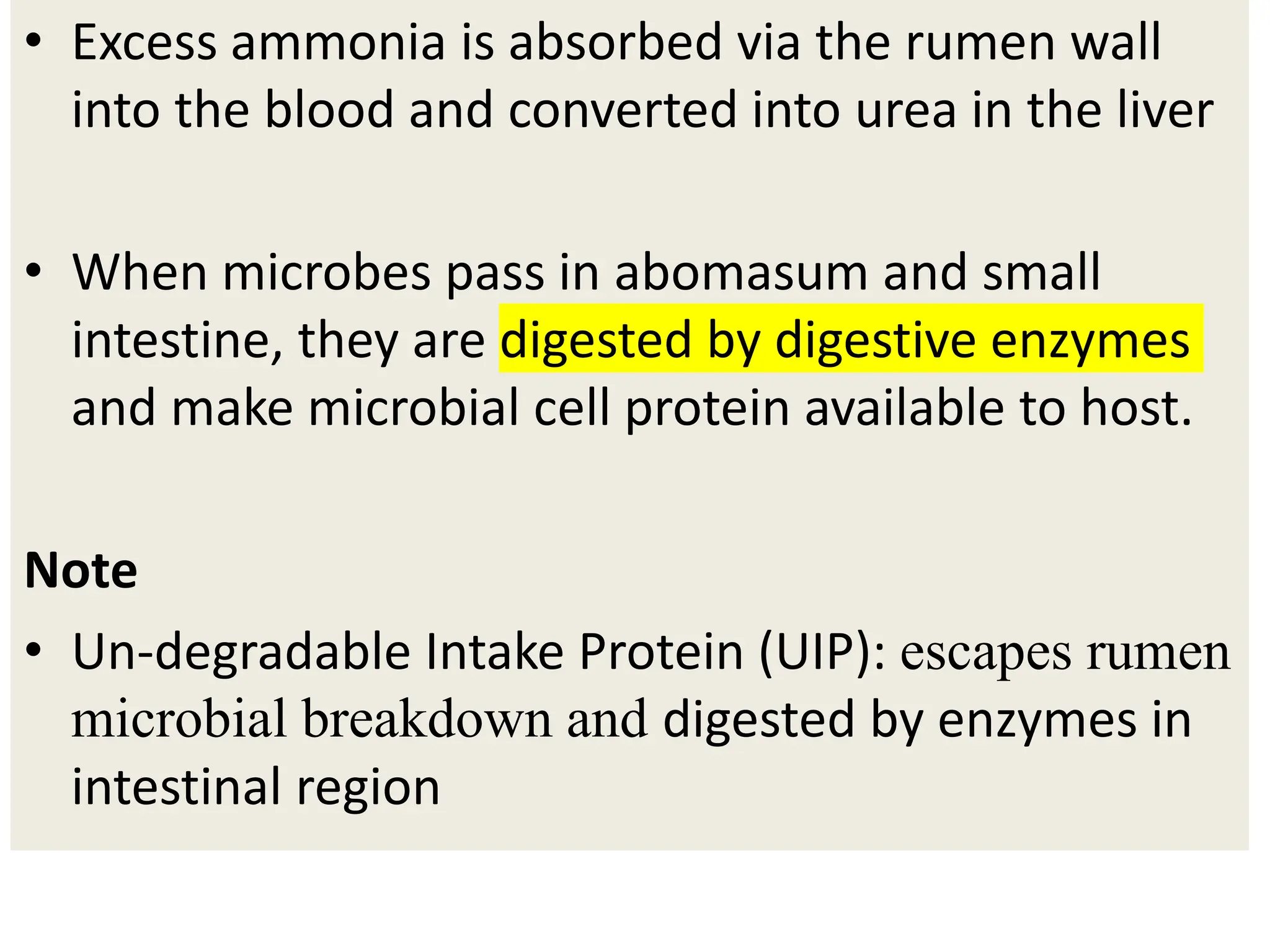 Digestion and Absorption in Ruminant and Non-ruminant.pptx | Digestive ...