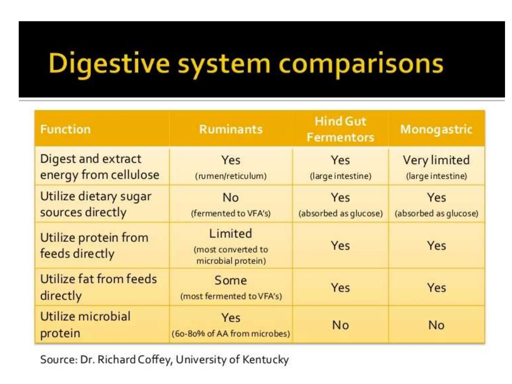 Digestion and Absorption in Ruminant and Non-ruminant.pptx
