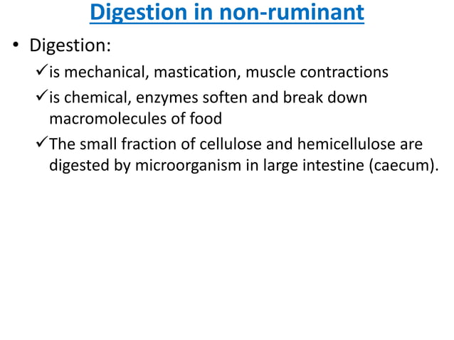 Digestion and Absorption in Ruminant and Non-ruminant.pptx | Digestive ...