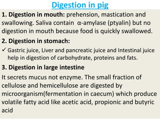 Digestion and Absorption in Ruminant and Non-ruminant.pptx