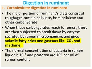 Digestion and Absorption in Ruminant and Non-ruminant.pptx