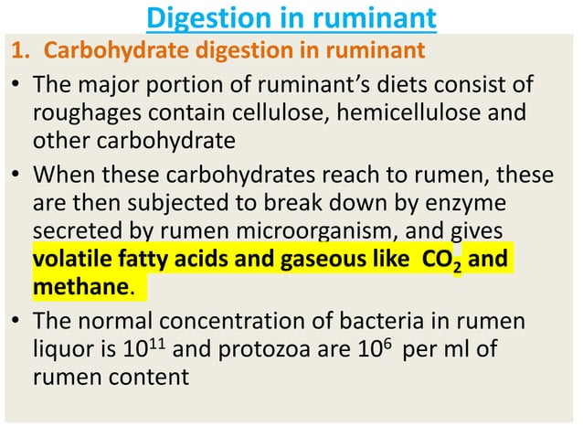 Digestion and Absorption in Ruminant and Non-ruminant.pptx | Digestive ...