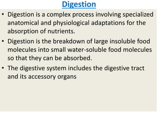 Digestion and Absorption in Ruminant and Non-ruminant.pptx