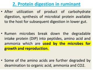 Digestion and Absorption in Ruminant and Non-ruminant.pptx
