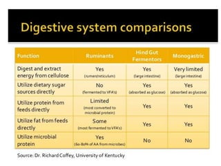 Digestion and Absorption in Ruminant and Non-ruminant.pptx
