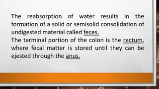 digestion EARTH AND LIFE SCIENCE 11.pptx