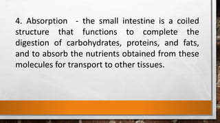 digestion EARTH AND LIFE SCIENCE 11.pptx