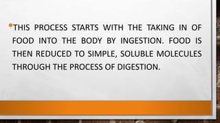 digestion EARTH AND LIFE SCIENCE 11.pptx