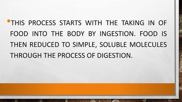 digestion EARTH AND LIFE SCIENCE 11.pptx | Biological Sciences | Science
