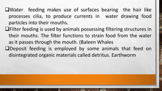 digestion EARTH AND LIFE SCIENCE 11.pptx