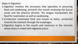 digestion EARTH AND LIFE SCIENCE 11.pptx
