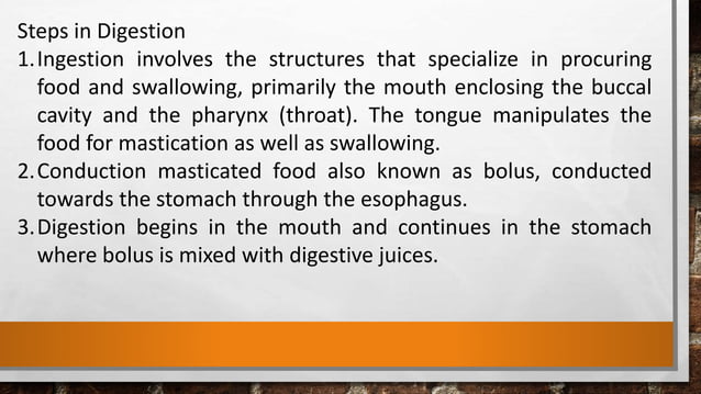 digestion EARTH AND LIFE SCIENCE 11.pptx | Biological Sciences | Science
