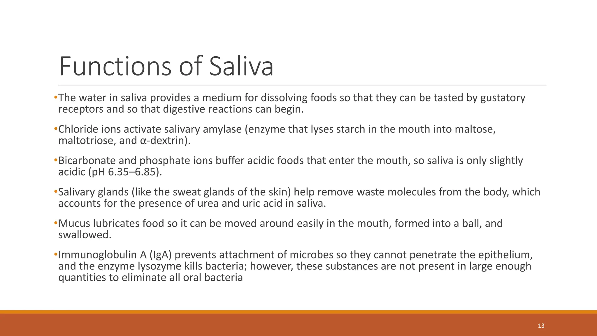 The complete process of digestion, digestive track | PDF | Dental ...