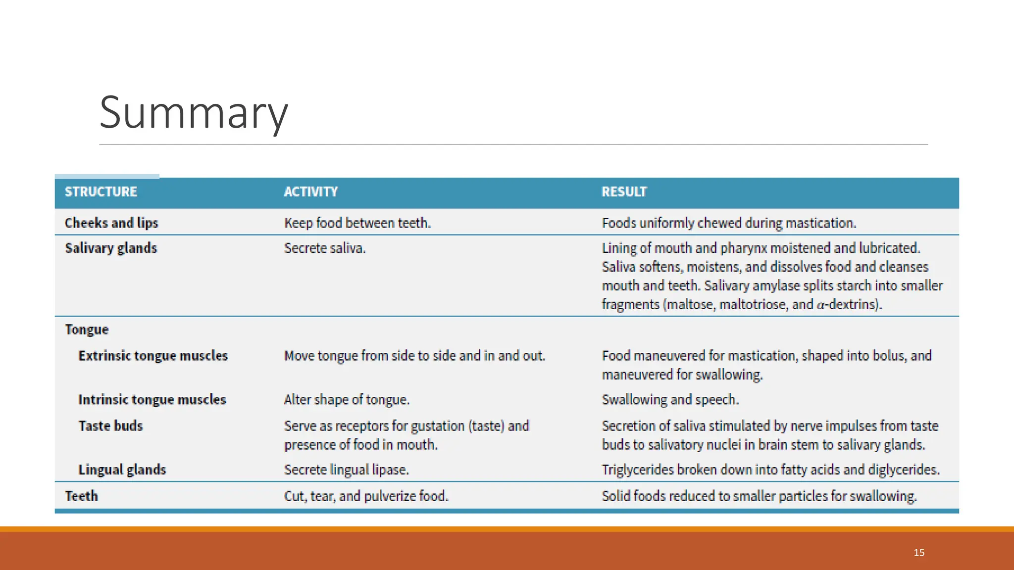 The complete process of digestion, digestive track | PDF