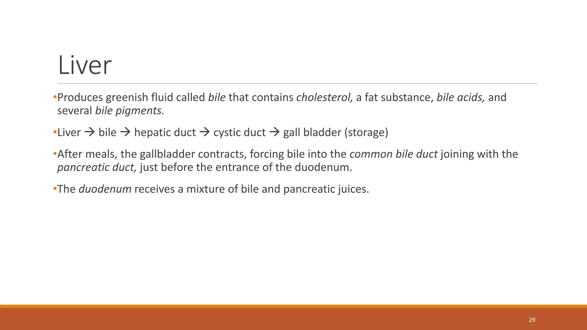 The complete process of digestion, digestive track | PDF