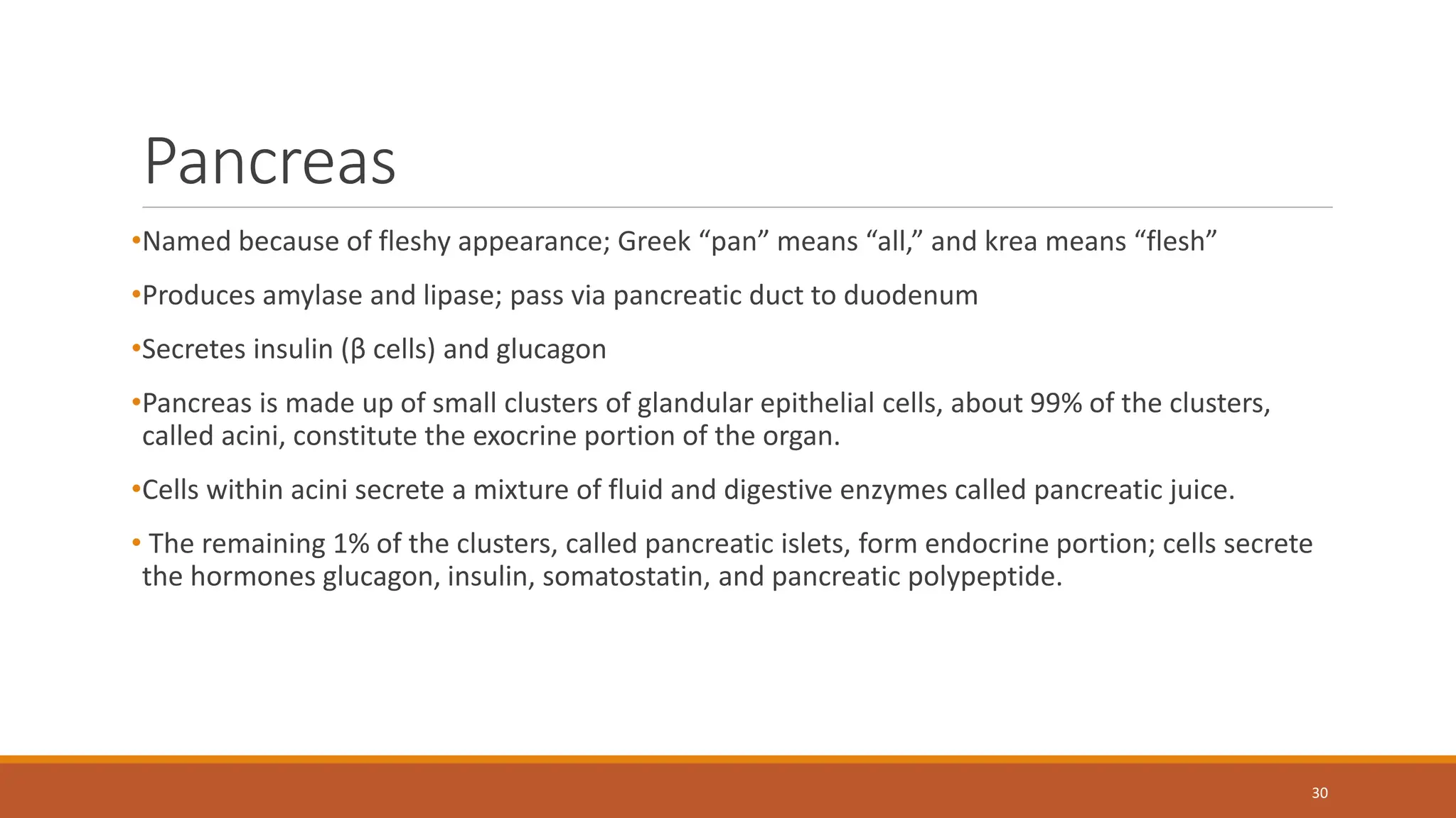 The complete process of digestion, digestive track | PDF