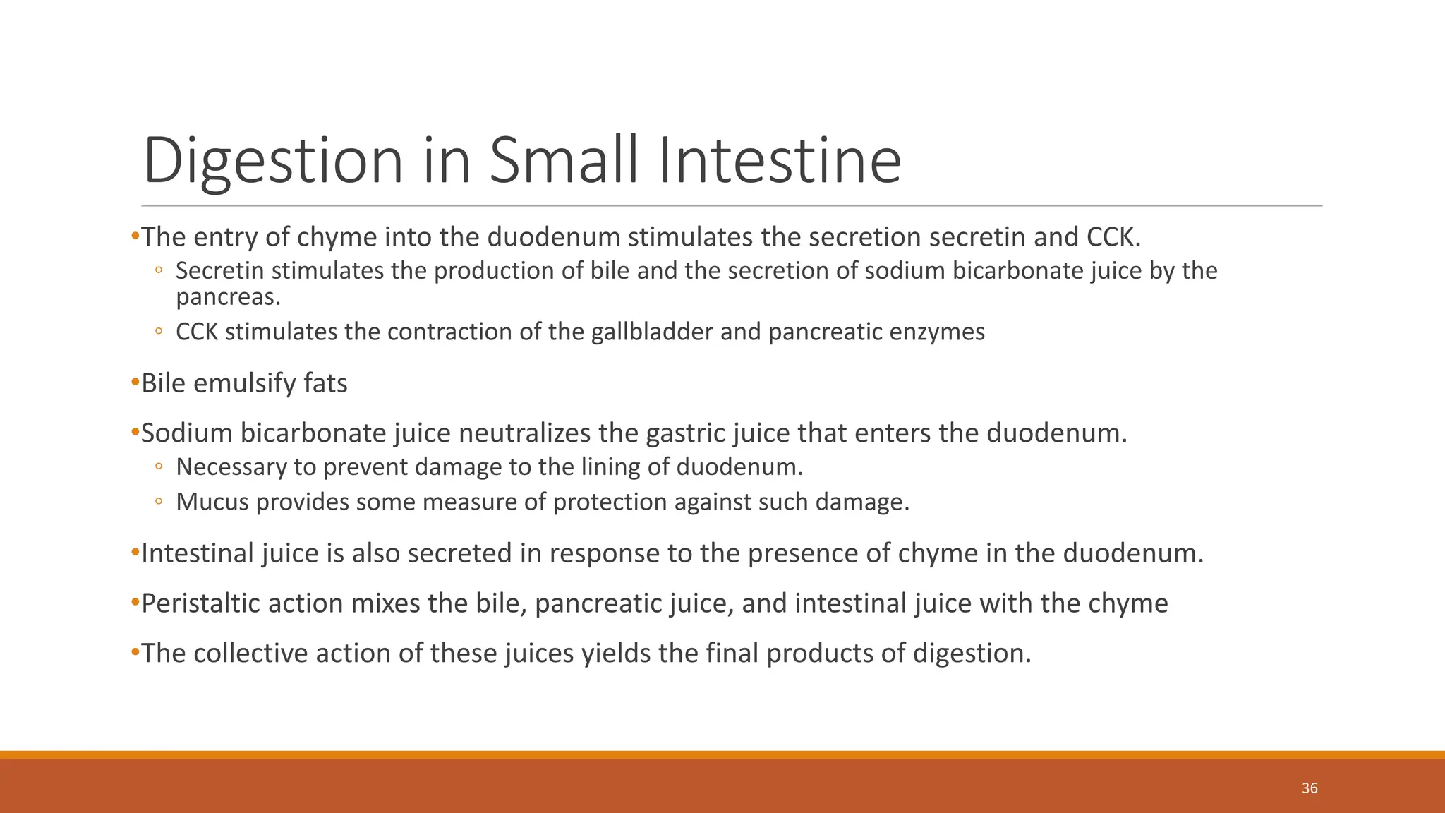 The complete process of digestion, digestive track | PDF