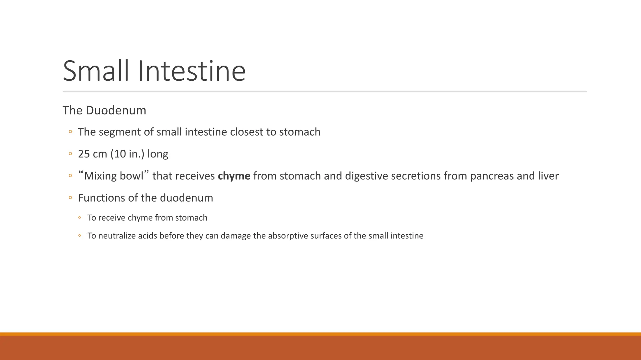 The complete process of digestion, digestive track | PDF