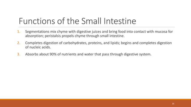 The complete process of digestion, digestive track | PDF | Dental ...
