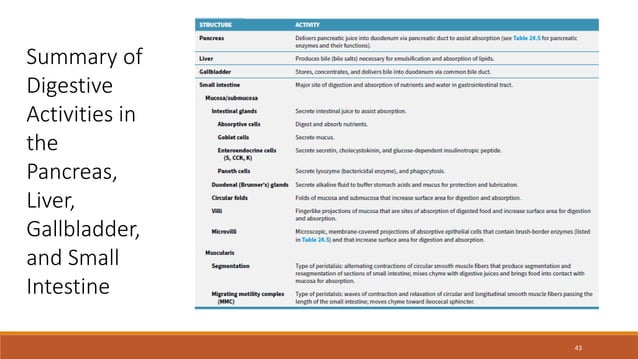 The complete process of digestion, digestive track | PDF | Dental ...