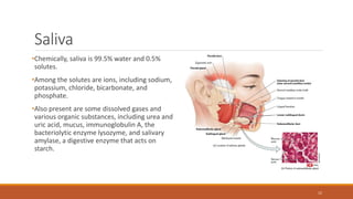 The complete process of digestion, digestive track | PPT