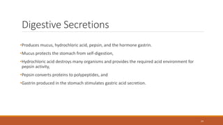The complete process of digestion, digestive track | PPT