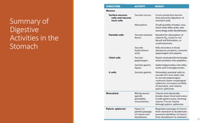 The complete process of digestion, digestive track | PPT