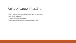 The complete process of digestion, digestive track | PPT