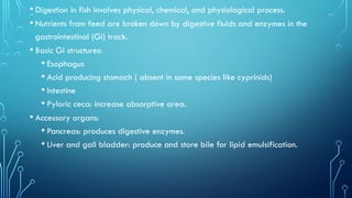 DIGESTIONpandoabdnwoabsoabs hi ajansnsns.pptx