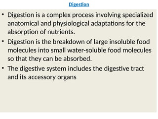 Comprehensive Overview of Animal Digestion and Nutrient Absorption ...