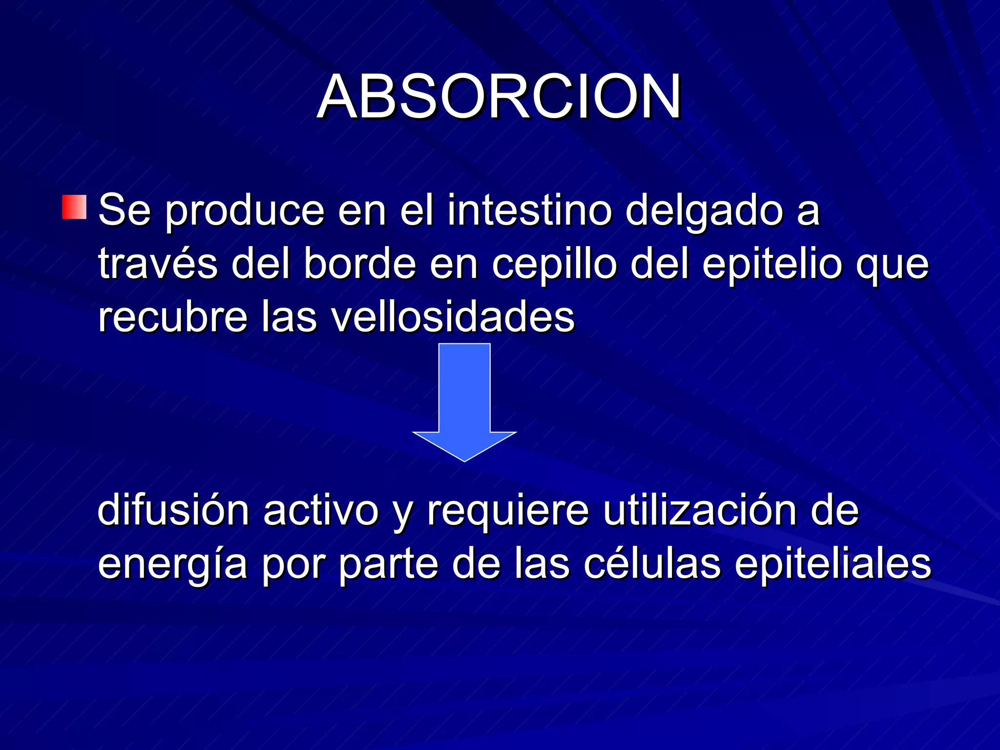 digestion , absorcion y nutricion | PPT | Nutrition | Healthy Living