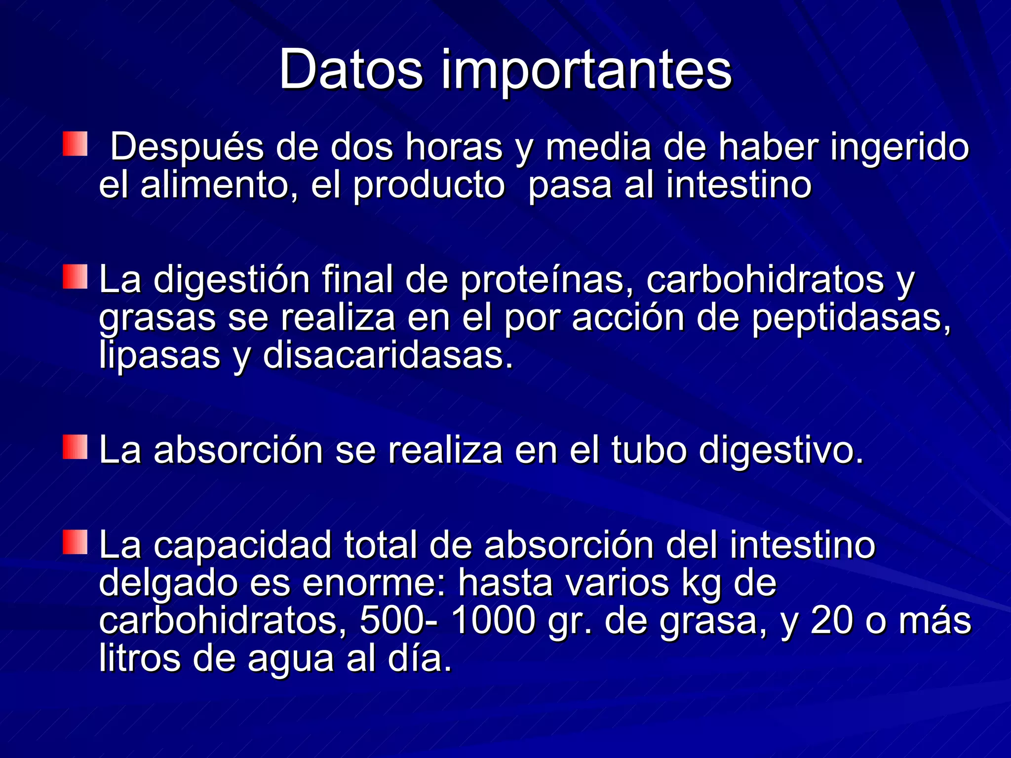 digestion , absorcion y nutricion | PPT | Nutrition | Healthy Living