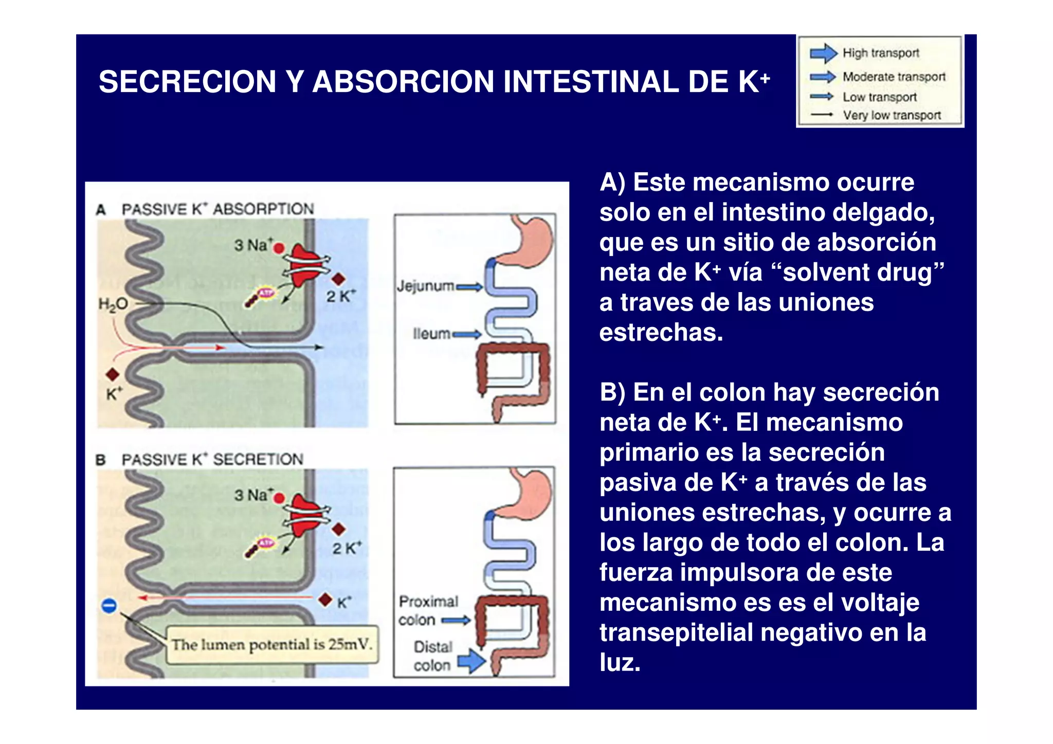 Digestion absorcion web 6-2010 | PDF