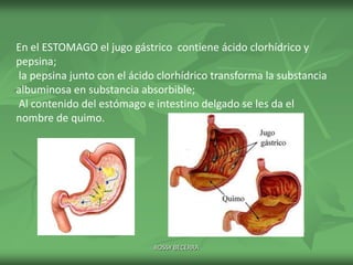 PROBLEMAS DE LA DIGESTION | PPTX
