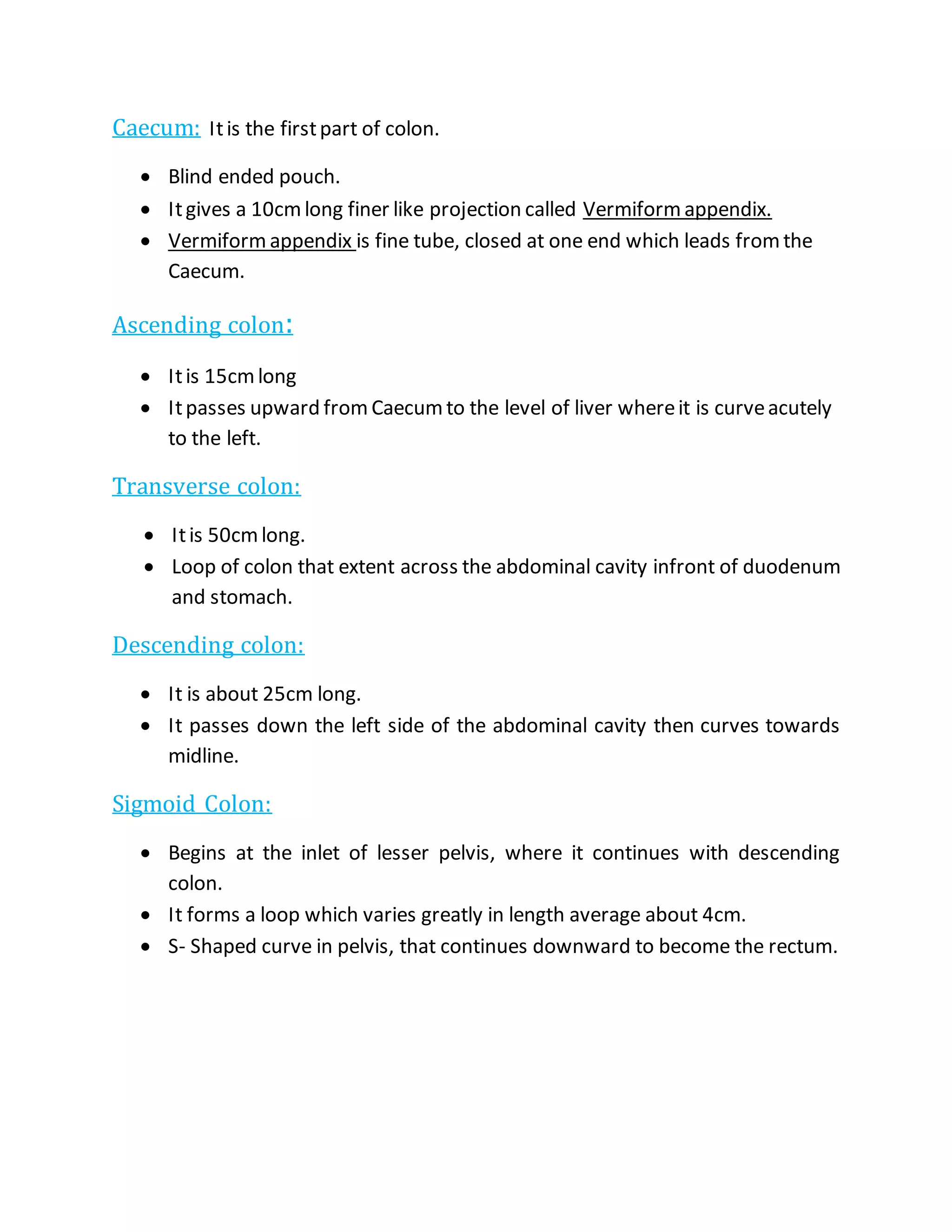 Digestive system | DOCX