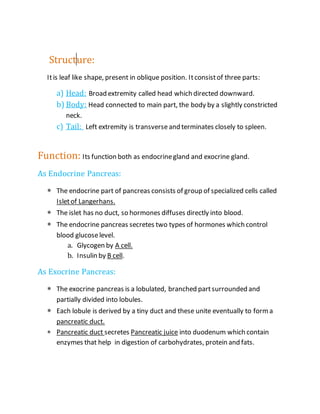Digestive system | DOCX