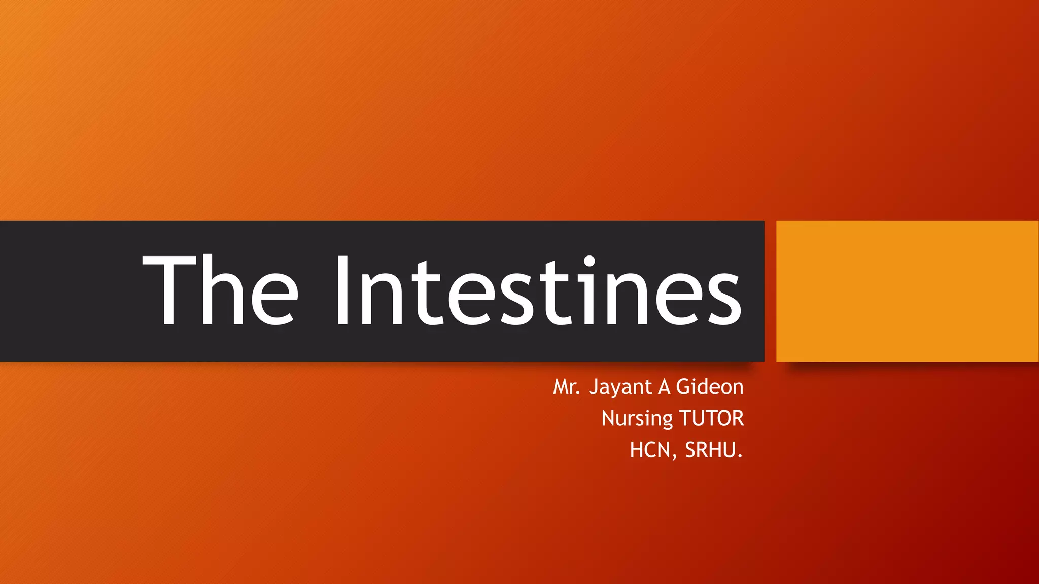 Digestion - Intestine.pptx