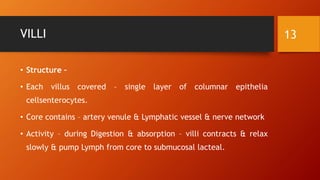 Digestion - Intestine.pptx