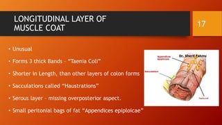 Digestion - Intestine.pptx