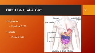 Digestion - Intestine.pptx