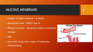 Digestion - Intestine.pptx