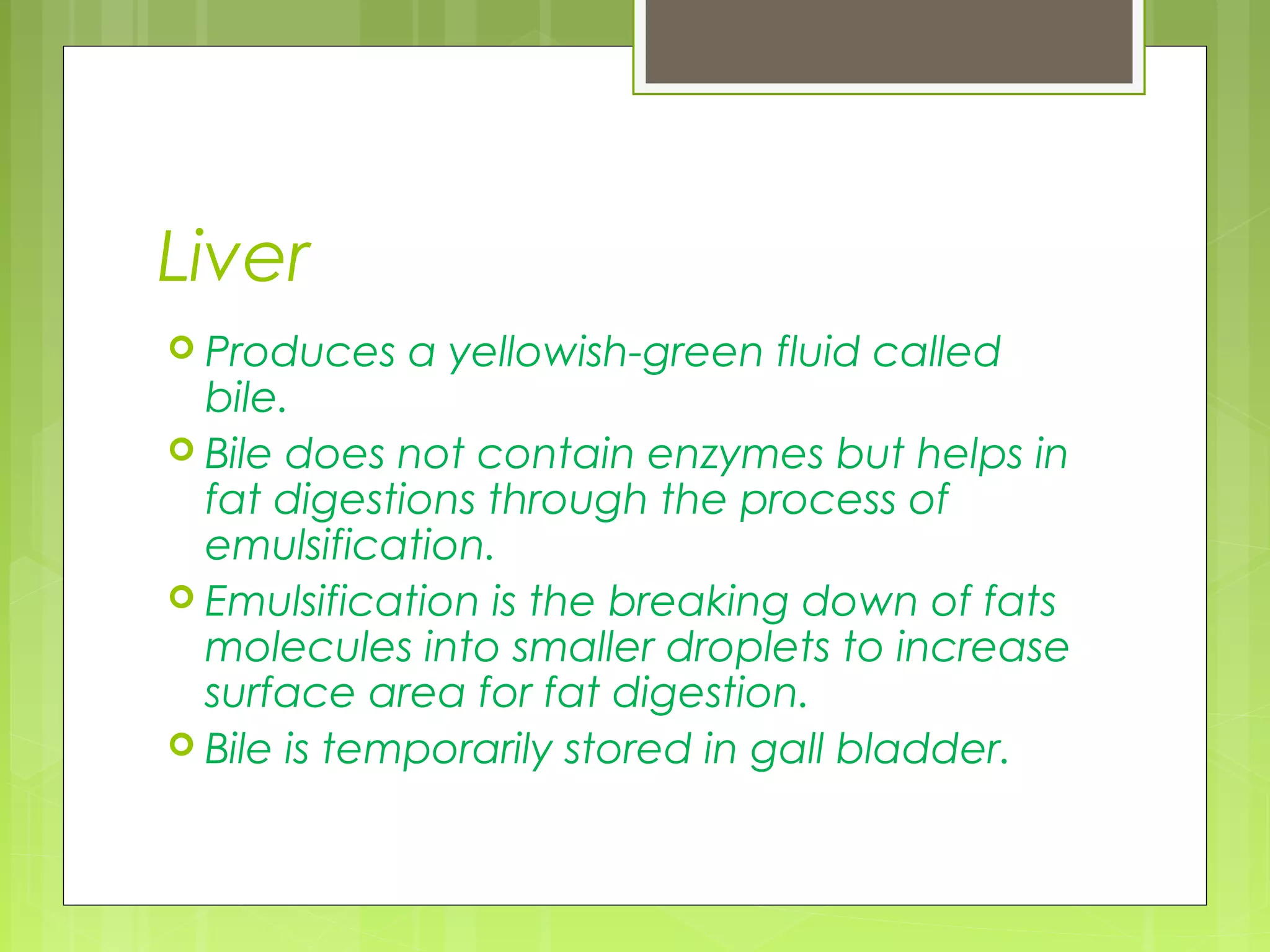 Digestion.ppt my own slides | PPT | Digestive Disorders | Diseases and ...
