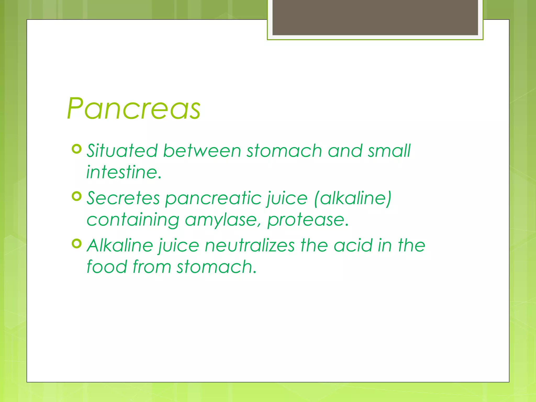 Digestion.ppt my own slides | PPT | Digestive Disorders | Diseases and ...