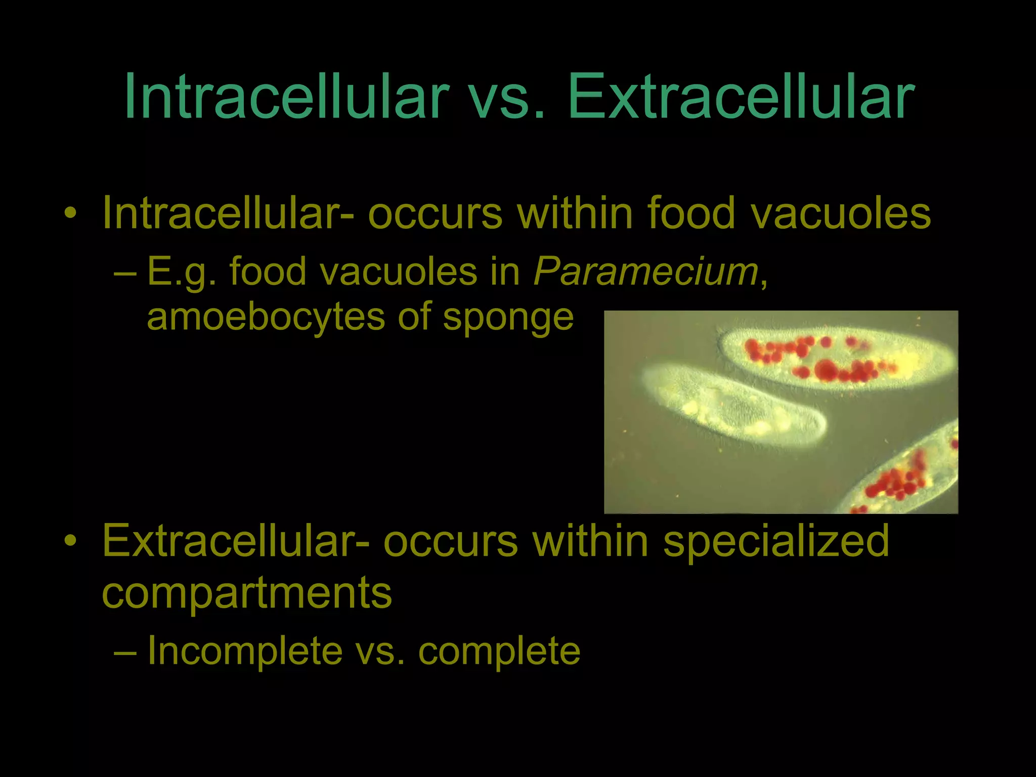 Digestion2. | PPT